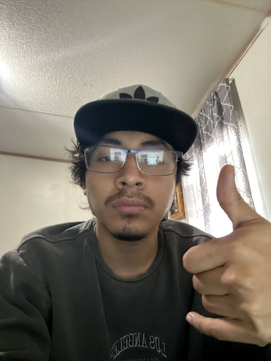 ITIS 3135 | Chris Carchi's | Luscious Tiger | Introduction