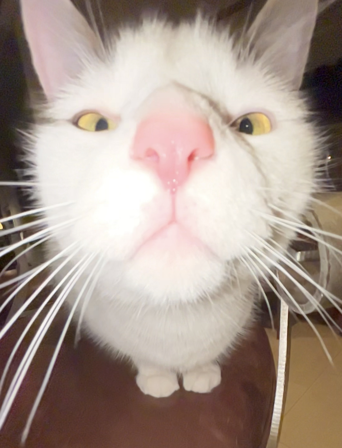 Daniel Franco's Webpage | UNC Charlotte