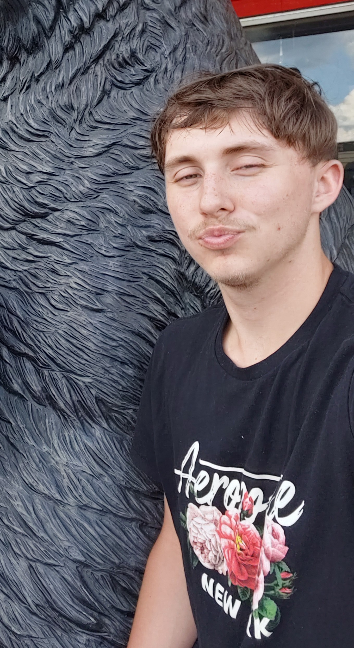 Nolan Cain's Nocturnal Cheetah ♦ ITIS3135 ♦ Introduction